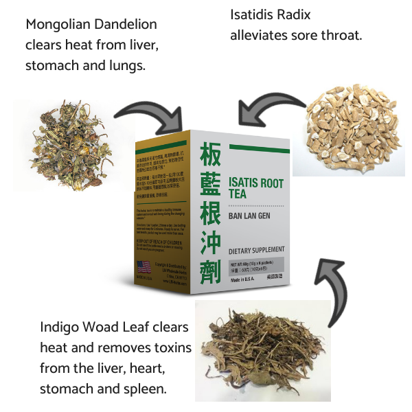 Isatis Root Tea Ban Lan Gen (Sugar-Free) – GinkgoHome